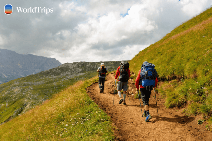 WorldTrips - Travel Insurance for Individuals, Groups, and Students